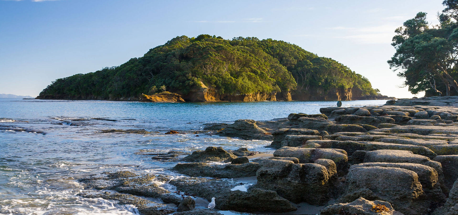 Kowhai Surgery – your code of rights